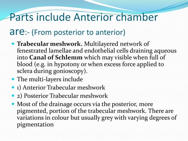 Assessment of anterior chamber | PPTX | Eye and Vision Conditions ...