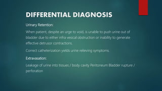 Assessment of anuria & management of post obstructive diuresis | PPT