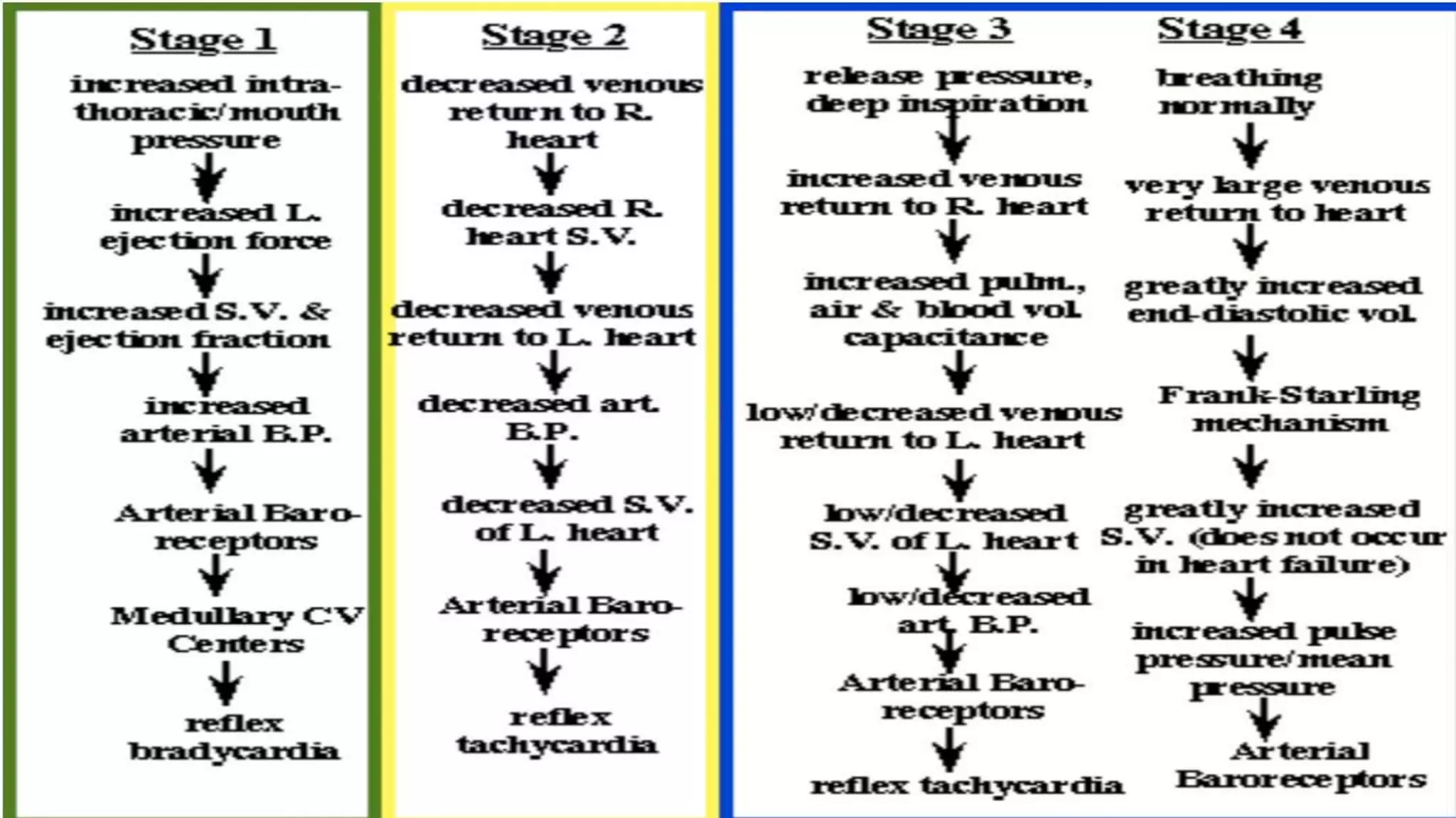 ASSESSMENT OF AUTONOMIC FUNCTION TEST.pptx