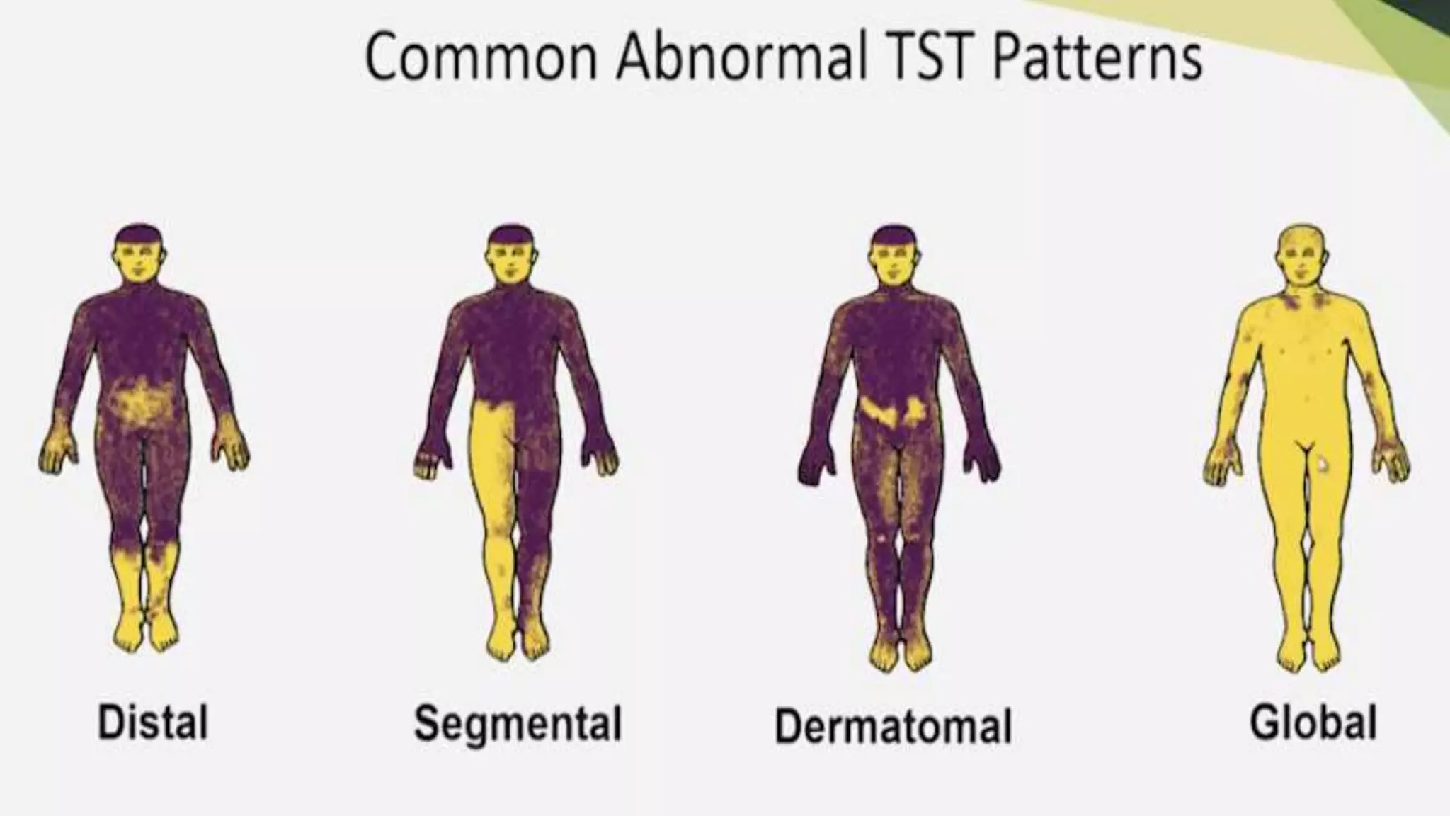 ASSESSMENT OF AUTONOMIC FUNCTION TEST.pptx
