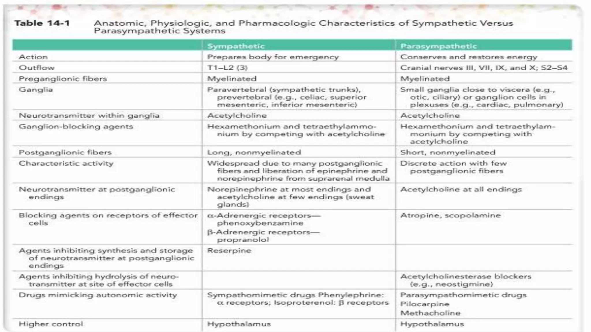 Assessment Of Autonomic Function Test Pptx