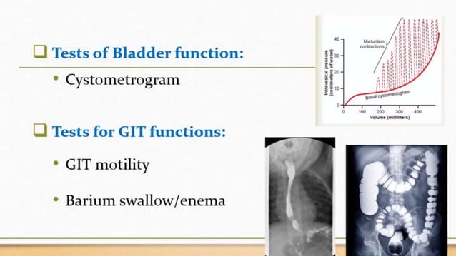 ASSESSMENT OF AUTONOMIC FUNCTION TEST.pptx | Heart and Cardiovascular ...