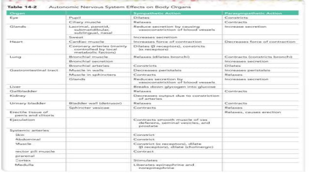 ASSESSMENT OF AUTONOMIC FUNCTION TEST.pptx | Heart and Cardiovascular ...