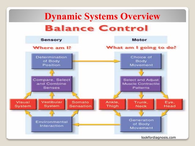 Assessment of balance | PPTX | Physical Therapy | Wellness