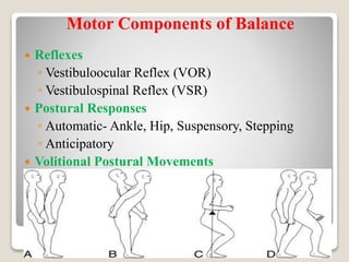 Assessment of balance | PPTX