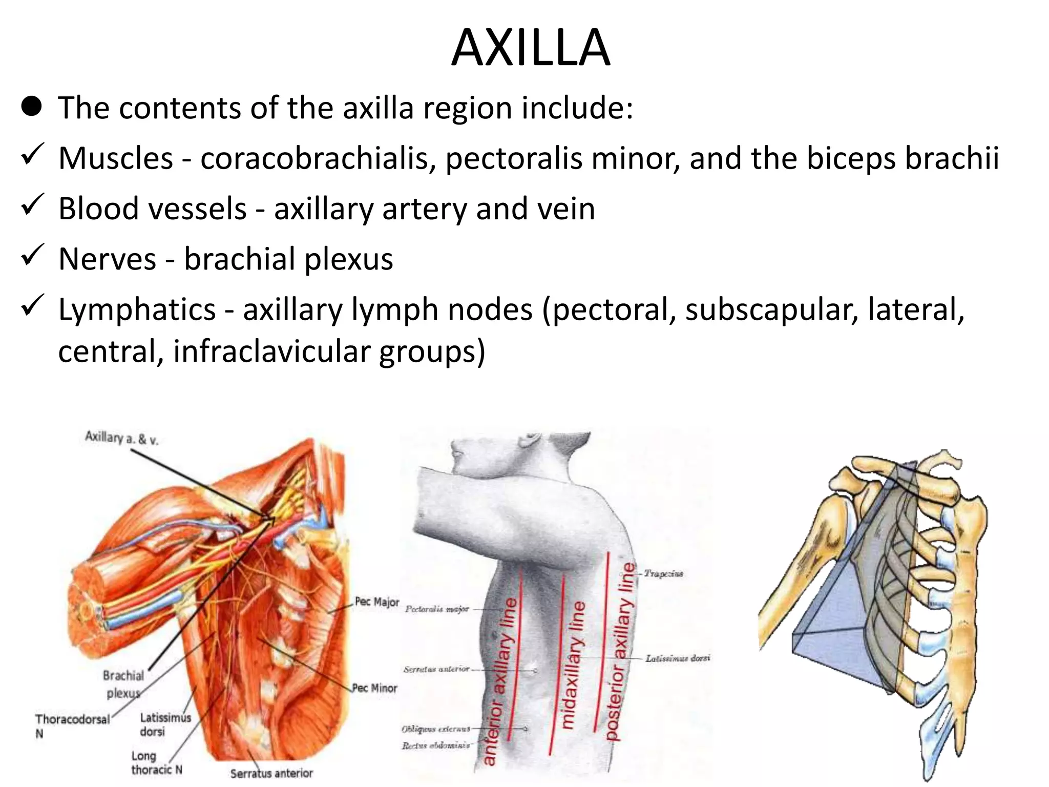 Assessment of Breast and Axiila .pptx