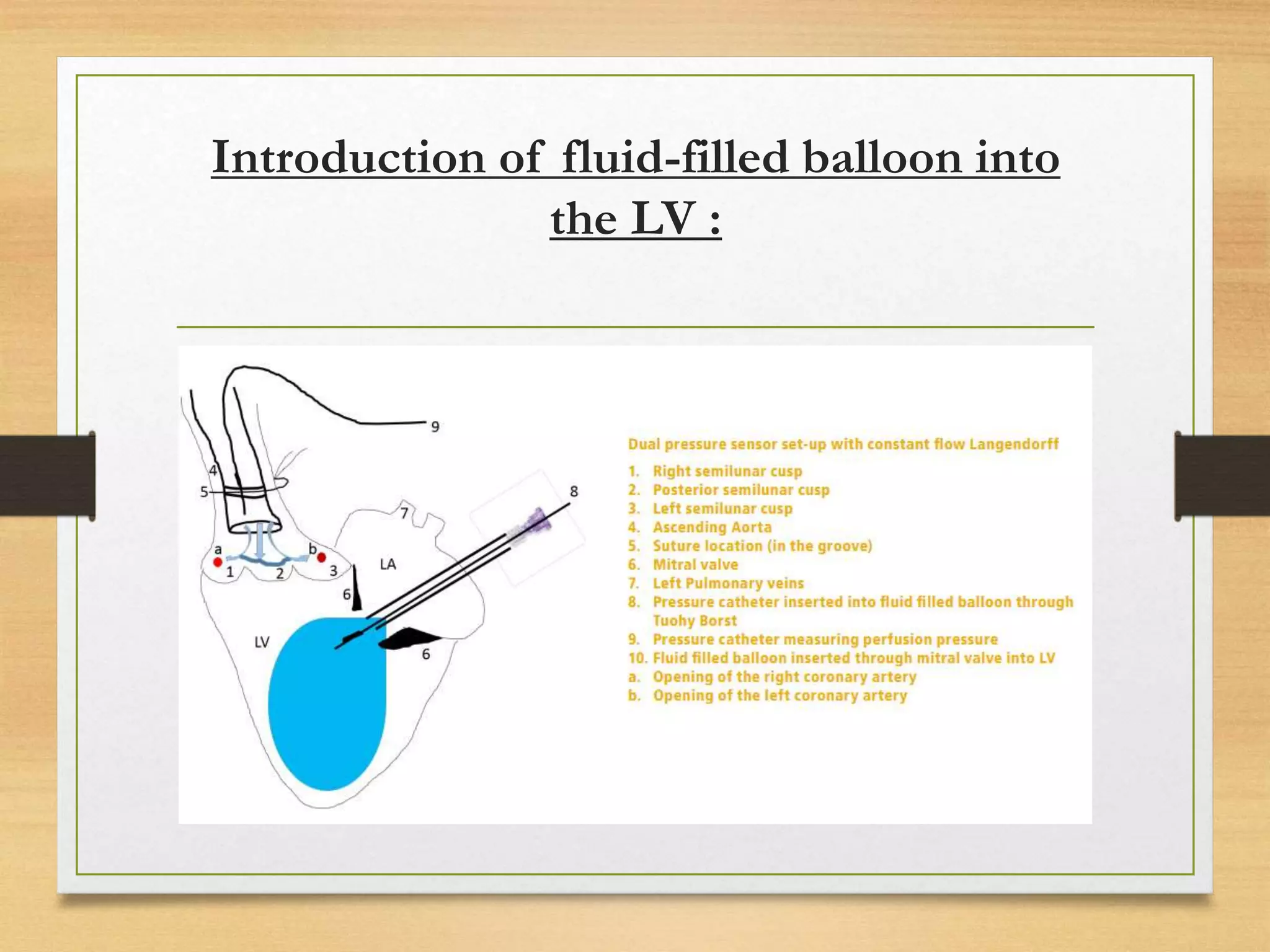 Assessment of cardiac contractility using langendorff apparatus ...