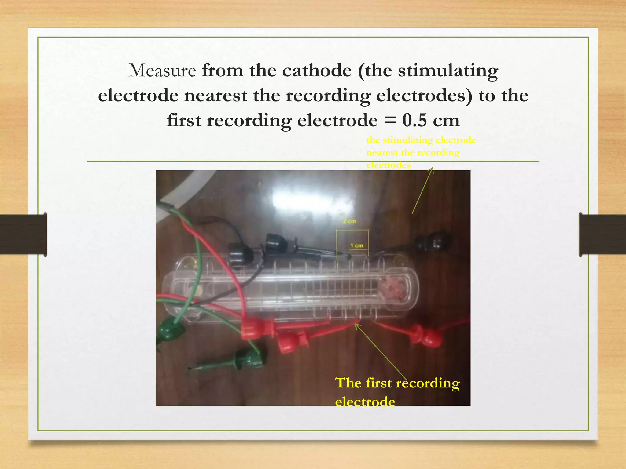 Assessment of cardiac contractility using langendorff apparatus connected to a powerlab | PPTX