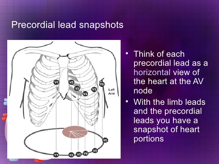 Assessment Of Cardiovascular Function