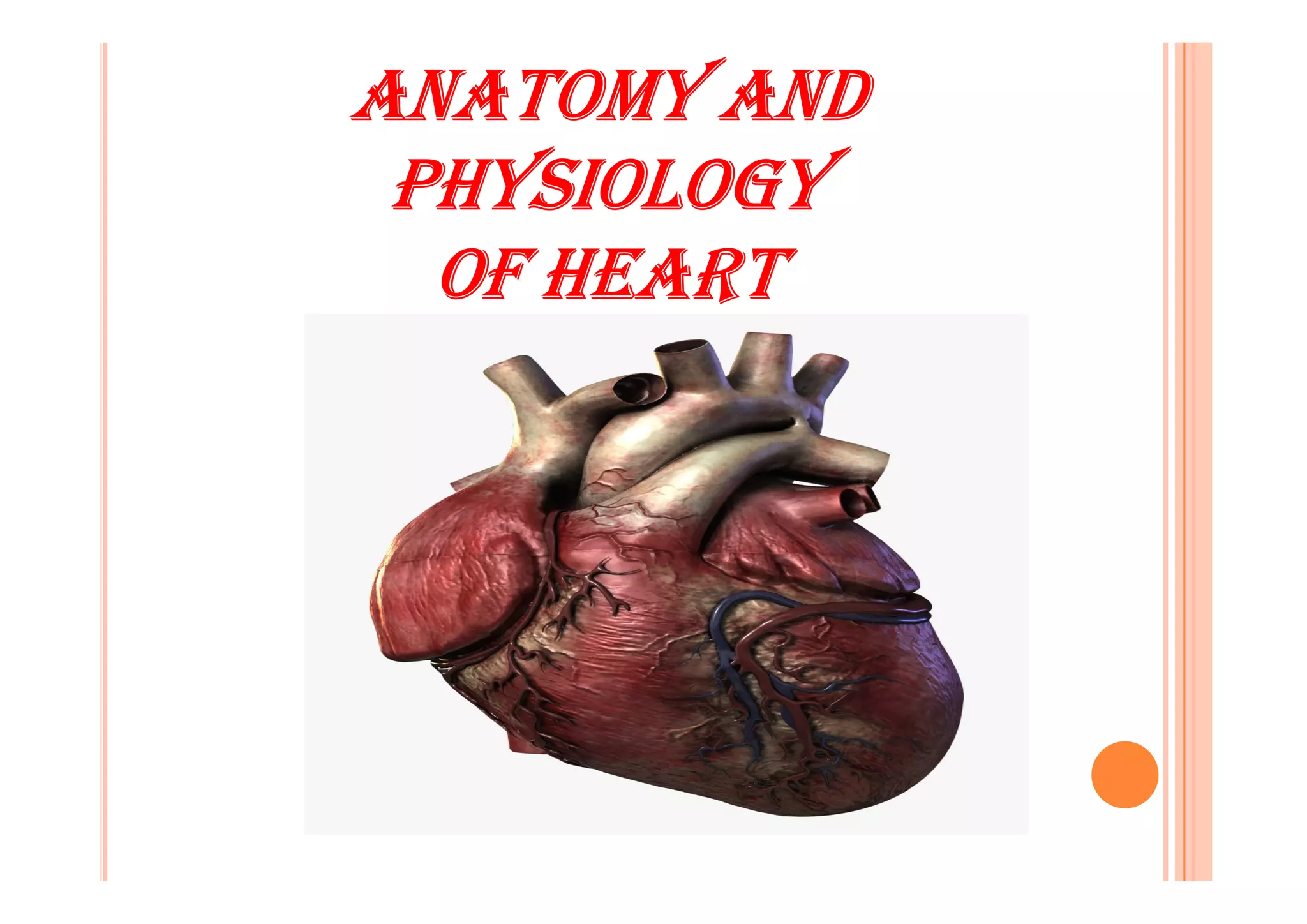 Assessment of cardiovascular system | PDF