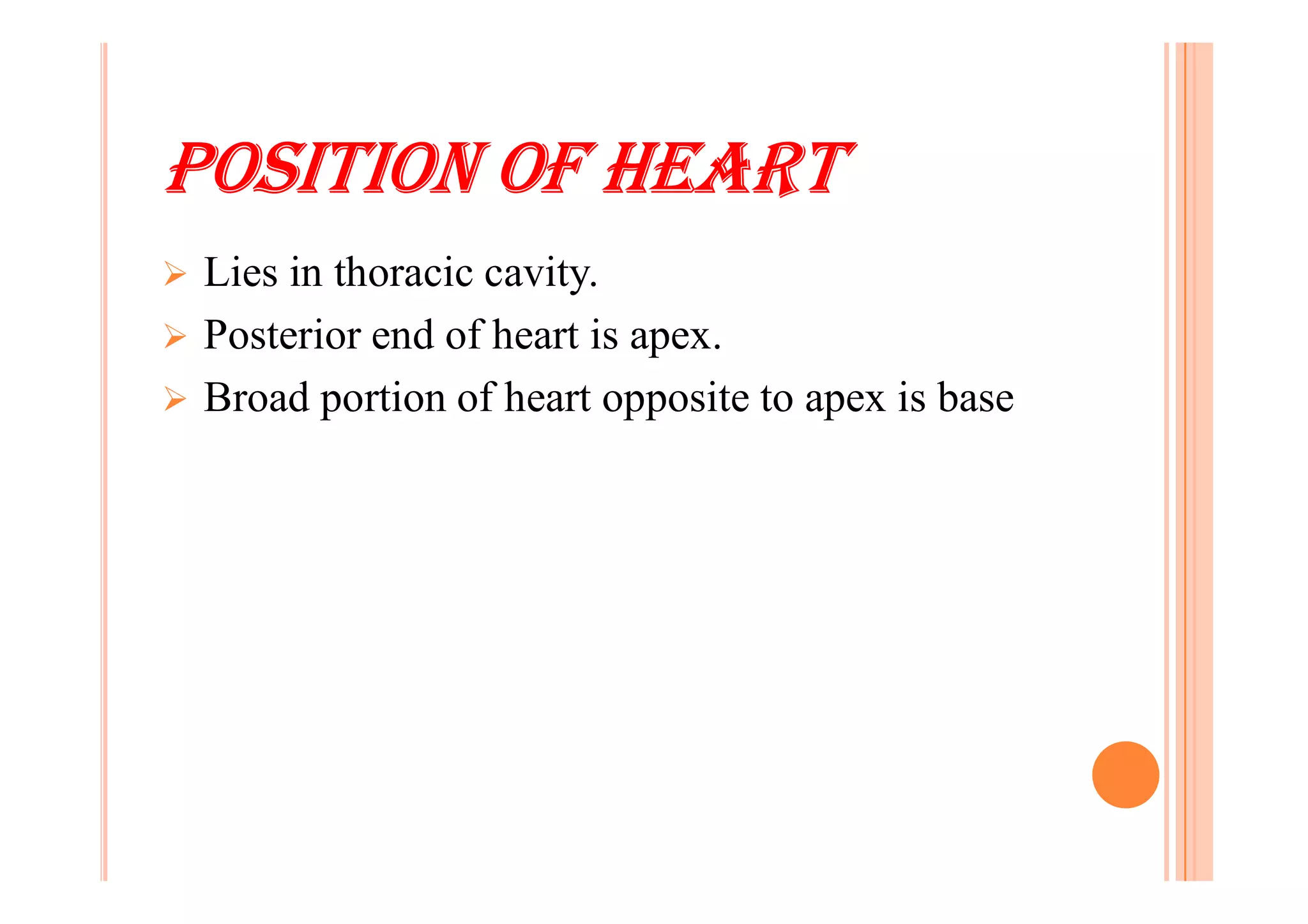 Assessment of cardiovascular system | PDF