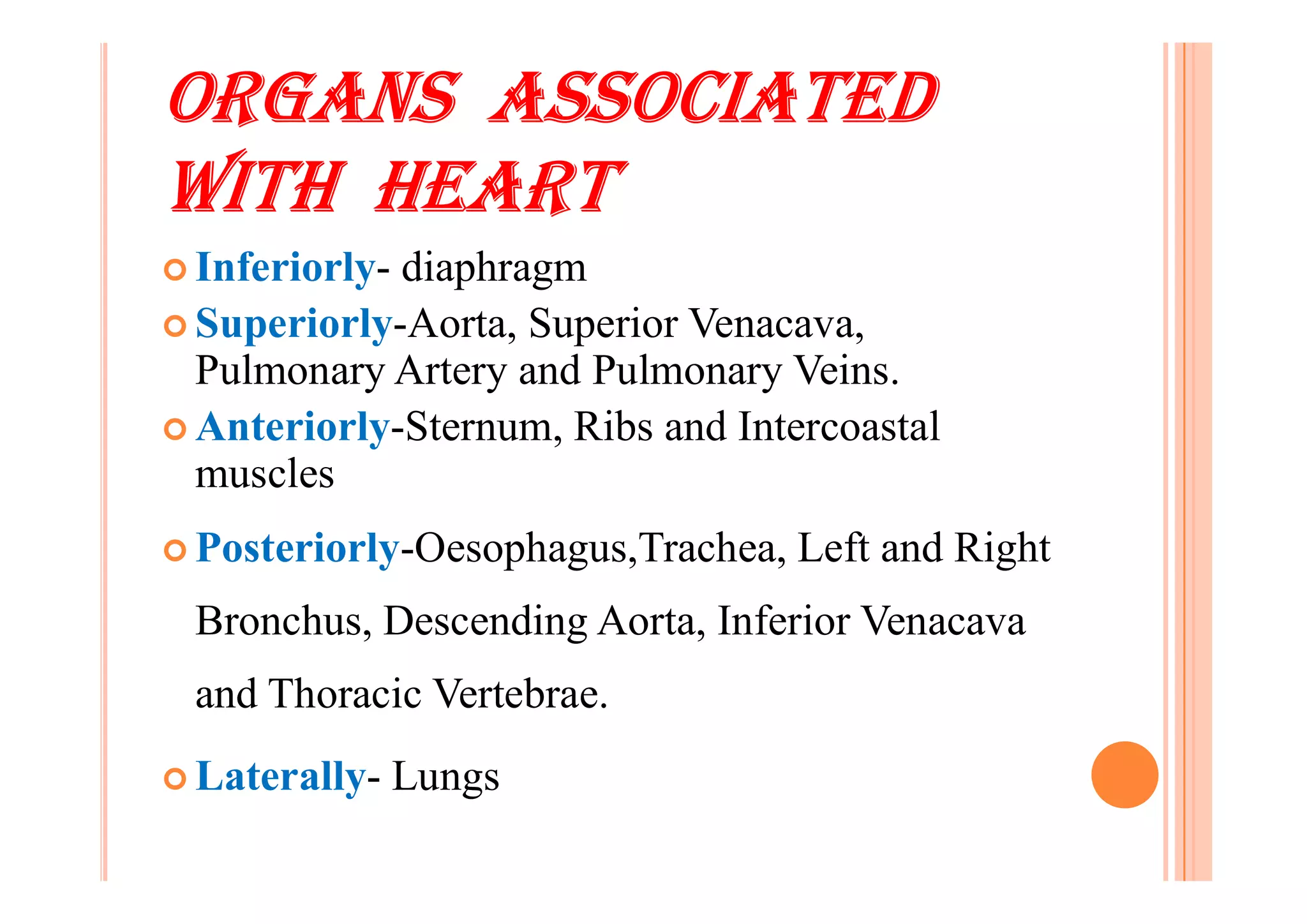 Assessment of cardiovascular system | PDF