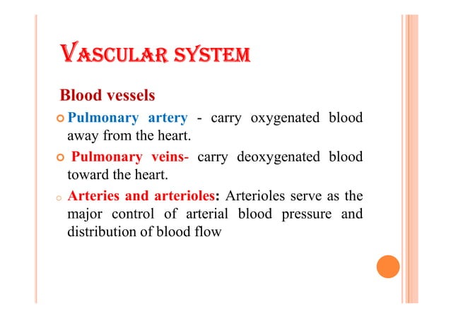 Assessment of cardiovascular system | PDF | Heart and Cardiovascular ...
