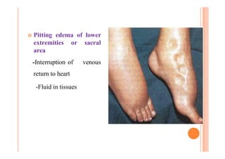 Assessment of cardiovascular system | PDF