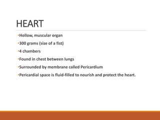 Assessment of Cardiovascular System.pptx