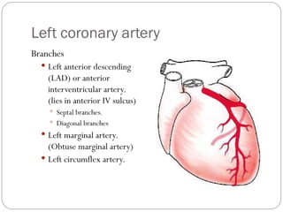 Assessment of Cardiovascular System-FINAL.ppt