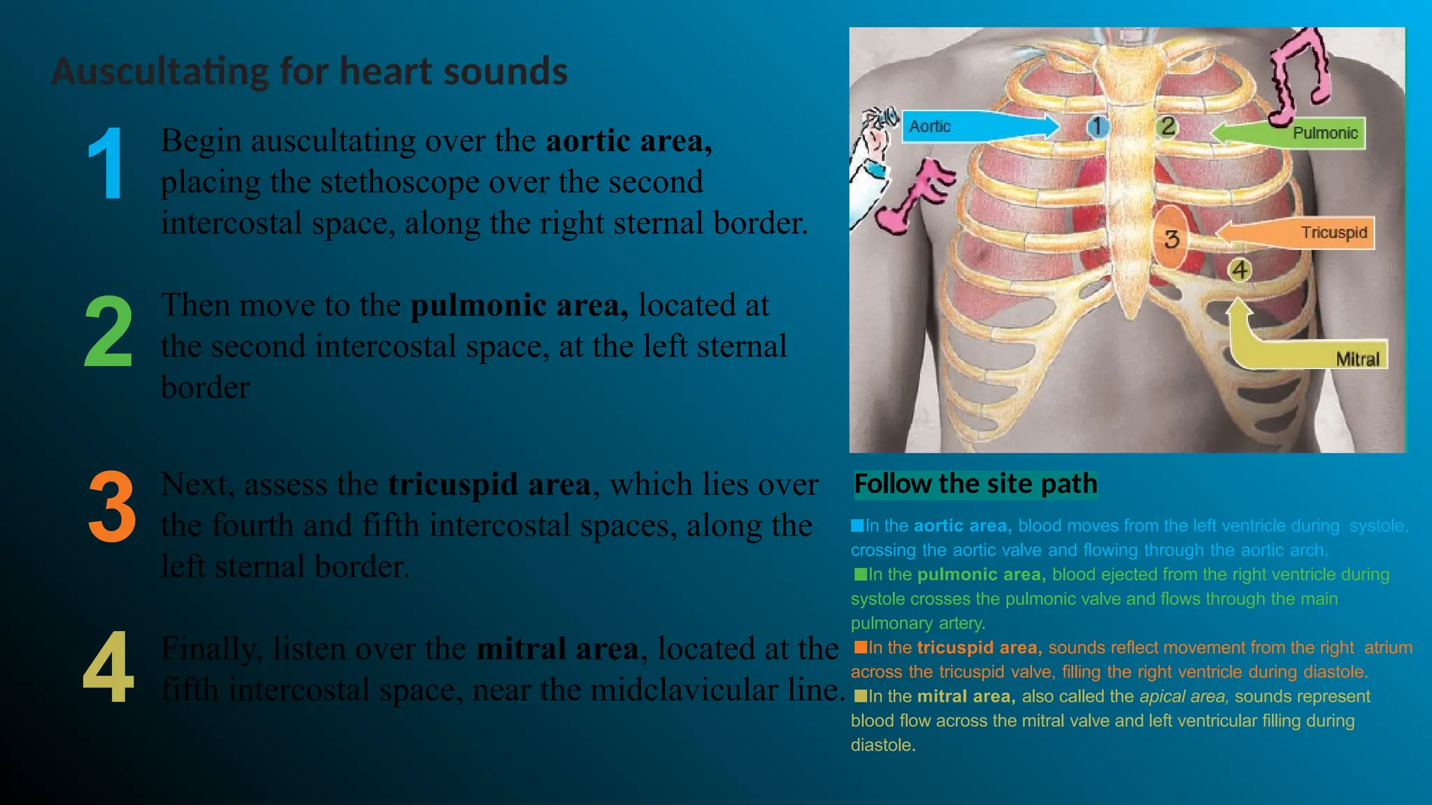 Assessment of Caridovascular sys.pptx Health assessment | PPTX