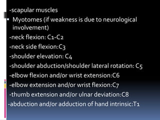 Assessment of cervical spine | PPTX