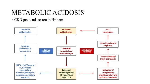 ASSESSMENT OF CKD PATIENT BEFORE INITIATION OF HEMODIALYSIS.pptx ...