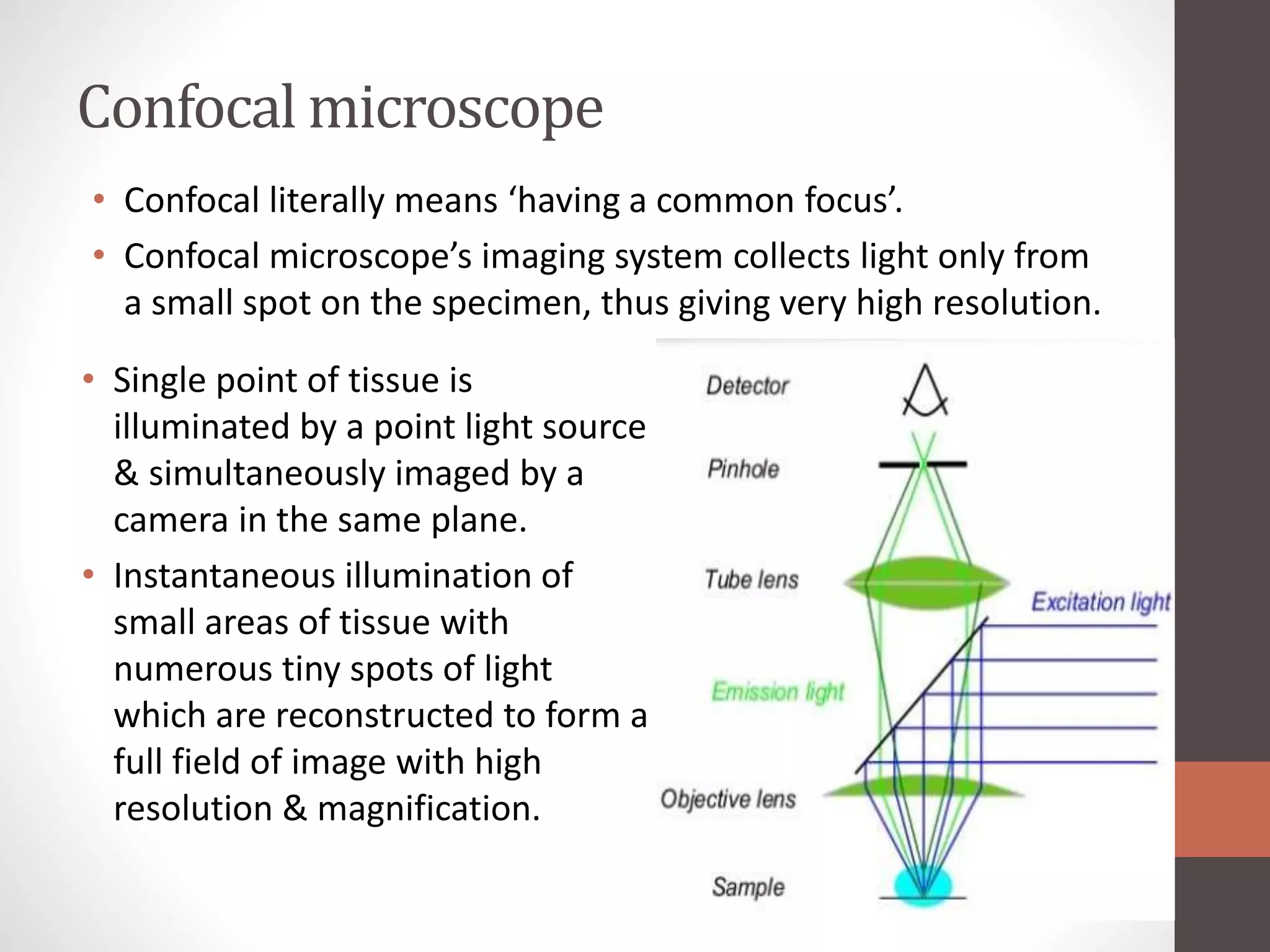 Assessment of corneal endothelium | PPTX