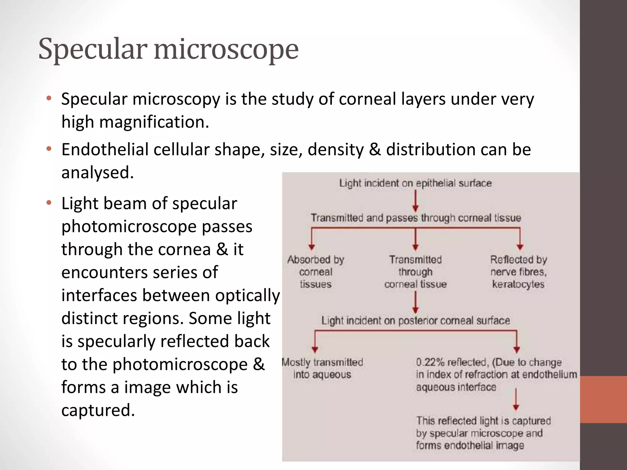 Assessment of corneal endothelium | PPTX