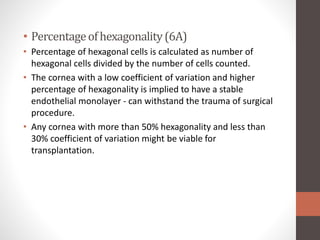 Assessment of corneal endothelium | PPTX