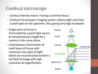 Assessment of corneal endothelium | PPTX
