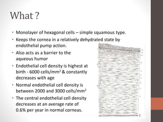Assessment of corneal endothelium | PPTX