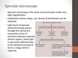 Assessment of corneal endothelium | PPTX