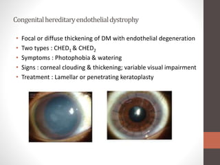 Congenital Hereditary Endothelial Dystrophy