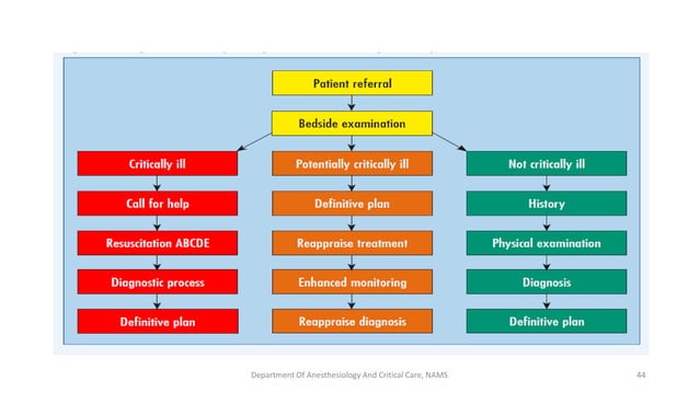 Assessment of critically ill patients | PPTX