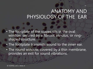 Assessment of ear, Eye, Nose, and-Throat.pptx