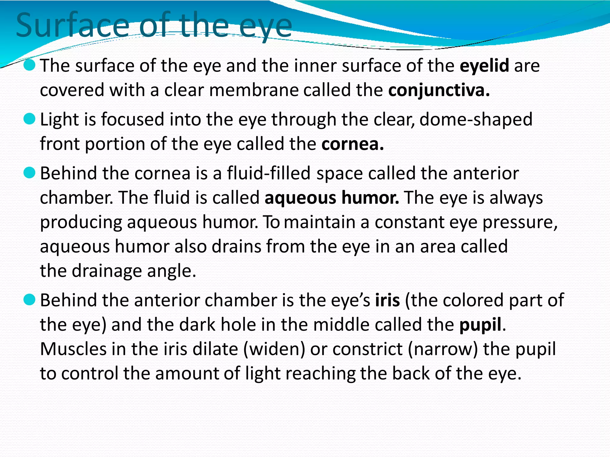 Assessment of eye.pptx