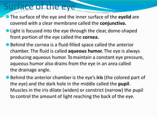 Assessment of eye.pptx