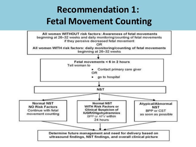 Fetal Movement Assessment