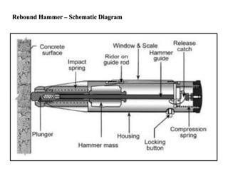 Assessment of fire damage and structural rectification process. | PDF