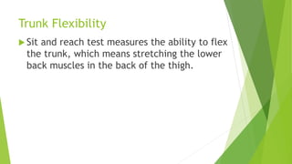 Assessment of Fitness-1.pptx