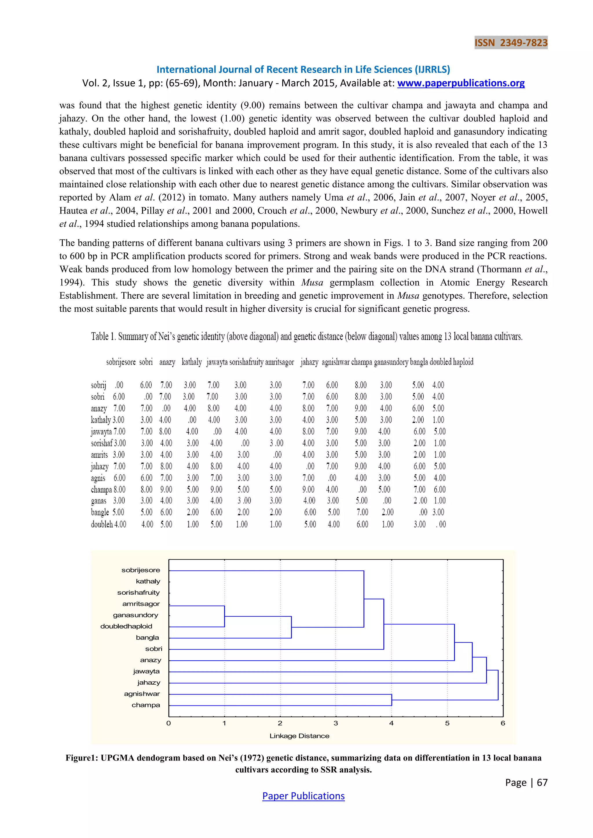 Assessment of Genetic Diversity in 13 Local Banana (Musa Spp.) Cultivars Using Simple Sequence ...