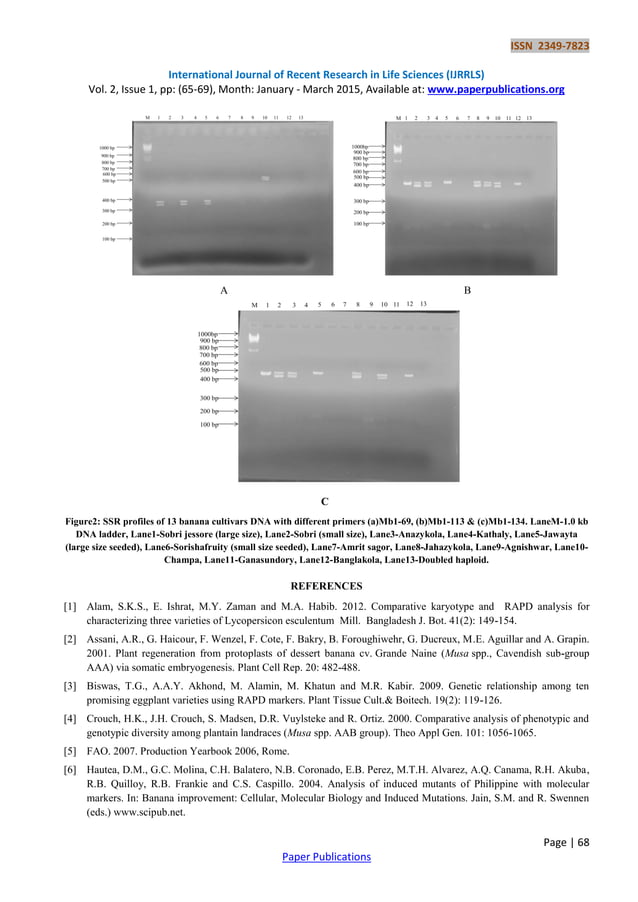 Assessment of Genetic Diversity in 13 Local Banana (Musa Spp.) Cultivars Using Simple Sequence ...