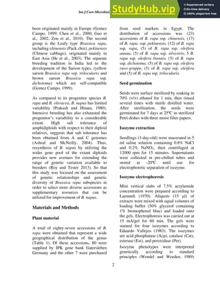 Assessment Of Genetic Relationships Within Brassica Rapa Subspecies ...
