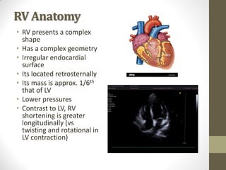 Assessment of Global RV systolic function_ECHO 7.pdf