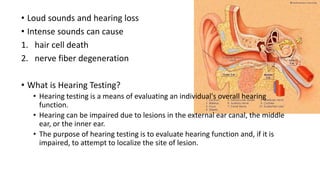 Assessing The Inner Ear