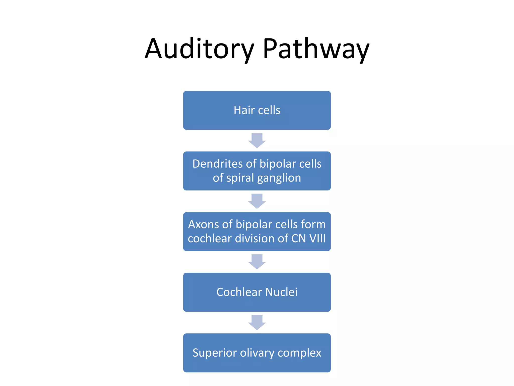 Assessment of hearing | PPTX