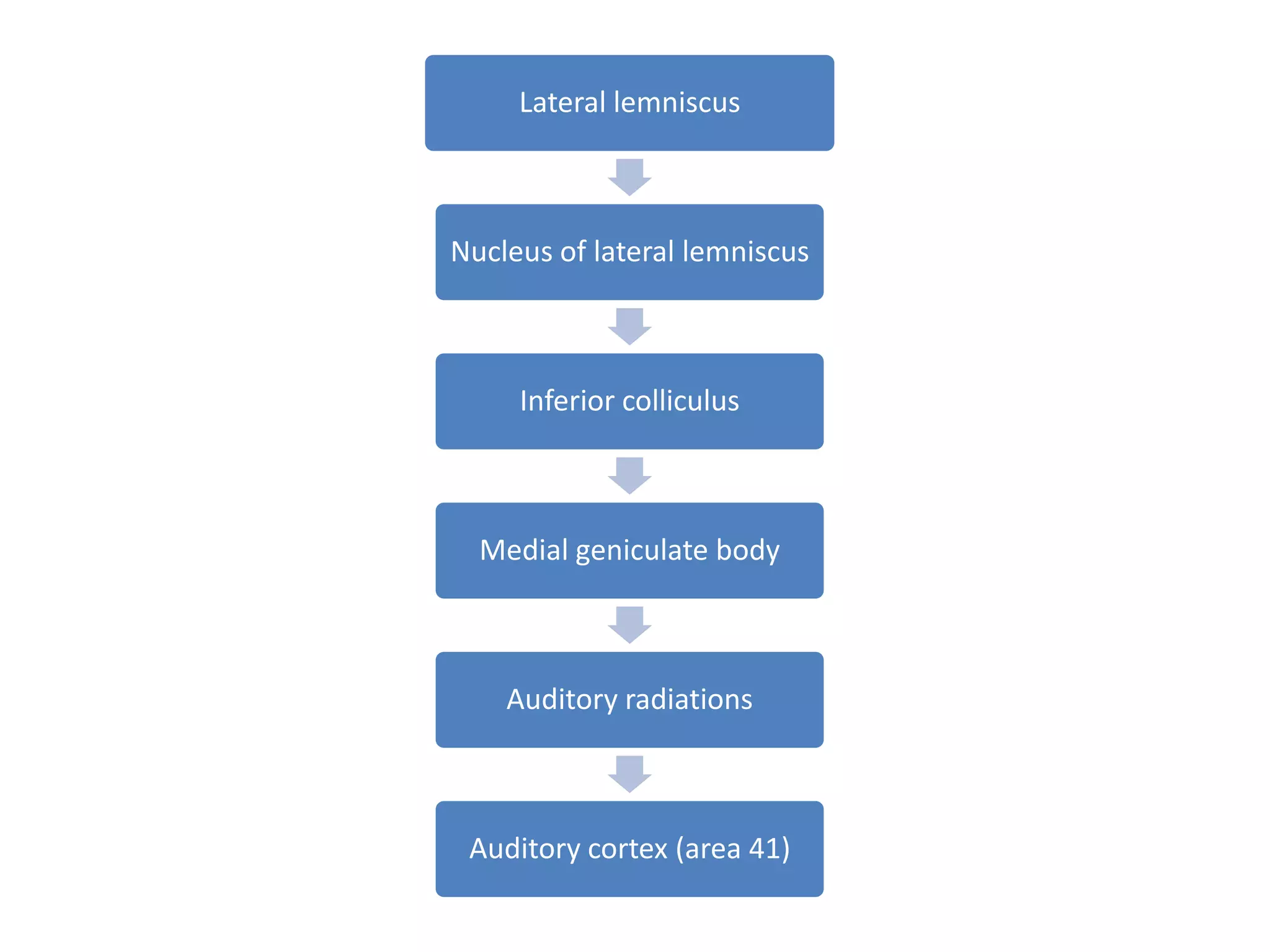 Assessment of hearing | PPTX