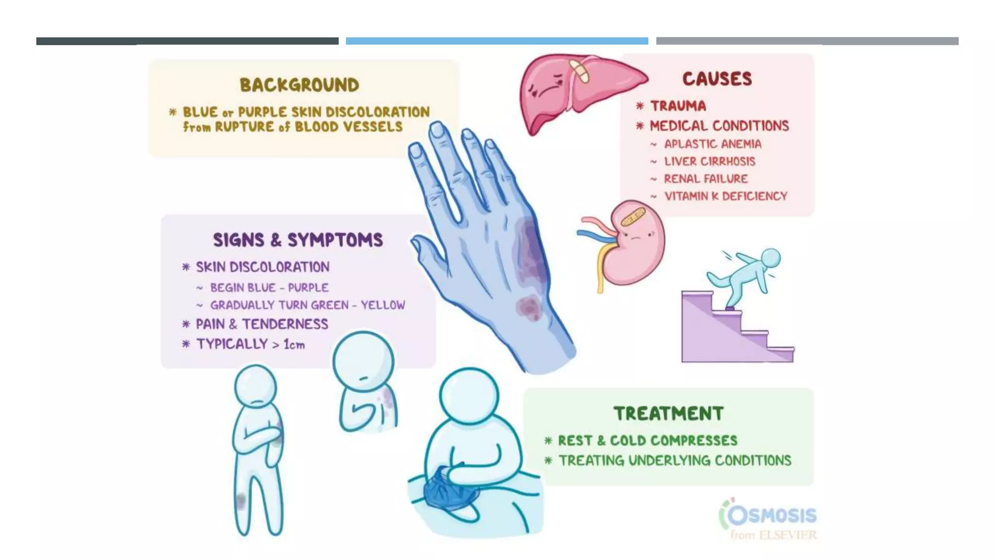 Clinical Assessment of integumentary system | PPT
