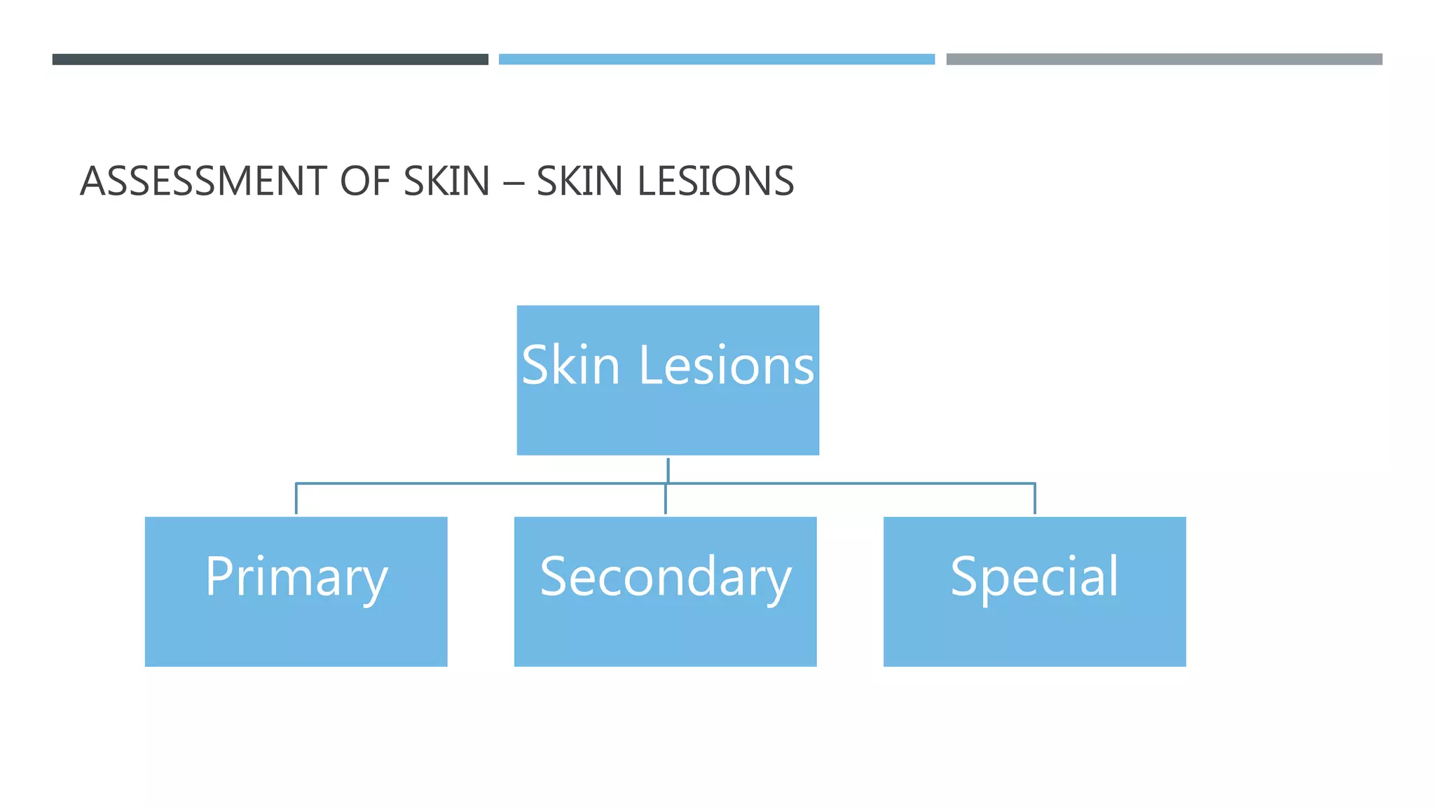 Clinical Assessment of integumentary system | PPT