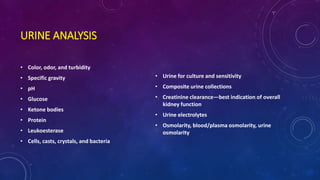 Assessment of Kidney and Urinary System.pptx
