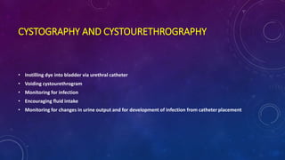 Assessment of Kidney and Urinary System.pptx