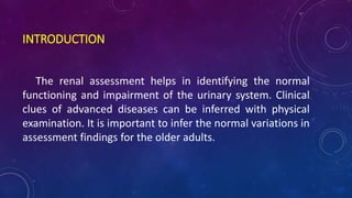 Assessment of Kidney and Urinary System.pptx