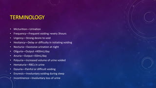 Assessment of Kidney and Urinary System.pptx
